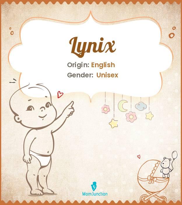Explore Lynix: Meaning, Origin & Popularity