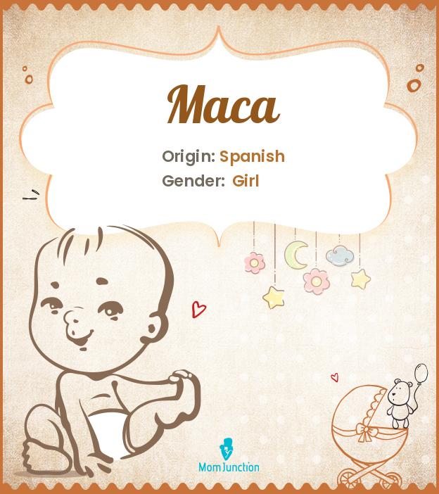 Explore Maca: Meaning, Origin & Popularity