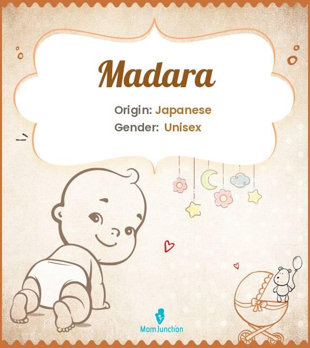 Explore Madara: Meaning, Origin & Popularity
