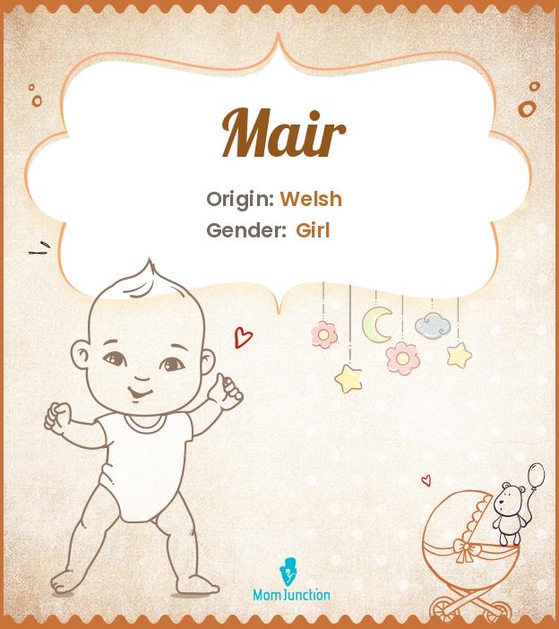 Explore Mair: Meaning, Origin & Popularity