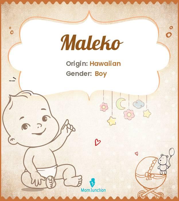 Explore Maleko: Meaning, Origin & Popularity