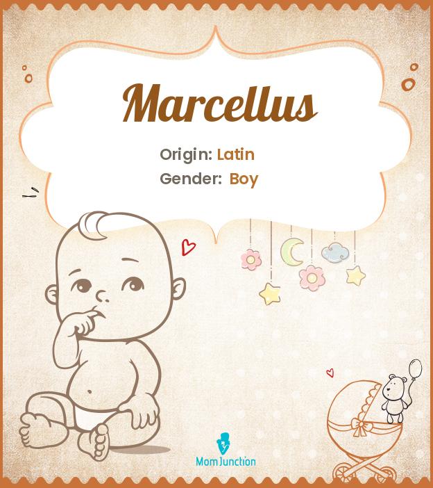 Marcellus Name Meaning, Origin, History, And Popularity