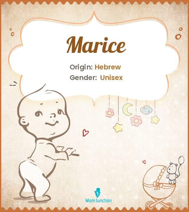 Explore Marice: Meaning, Origin & Popularity