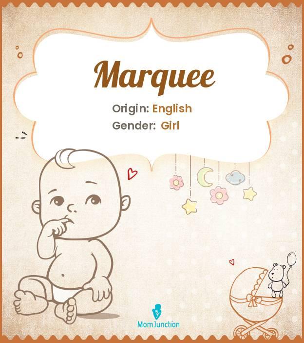 Explore Marquee: Meaning, Origin & Popularity