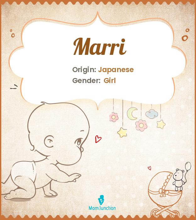 Explore Marri: Meaning, Origin & Popularity