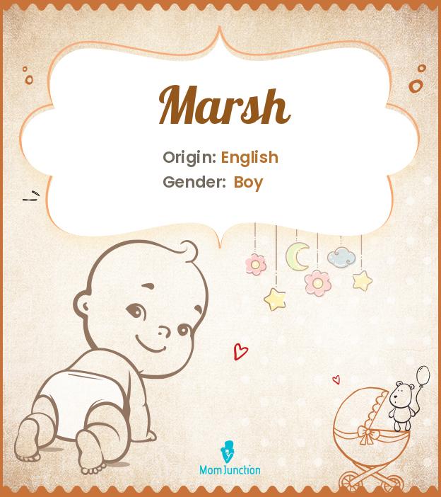 Explore Marsh: Meaning, Origin & Popularity | MomJunction