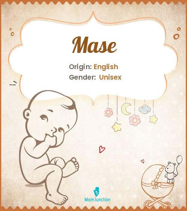 Explore Mase: Meaning, Origin & Popularity