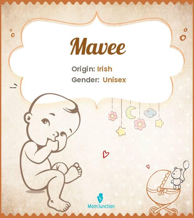 Explore Mavee: Meaning, Origin & Popularity
