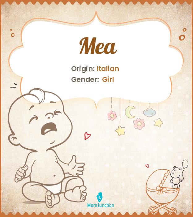 Explore Mea: Meaning, Origin & Popularity
