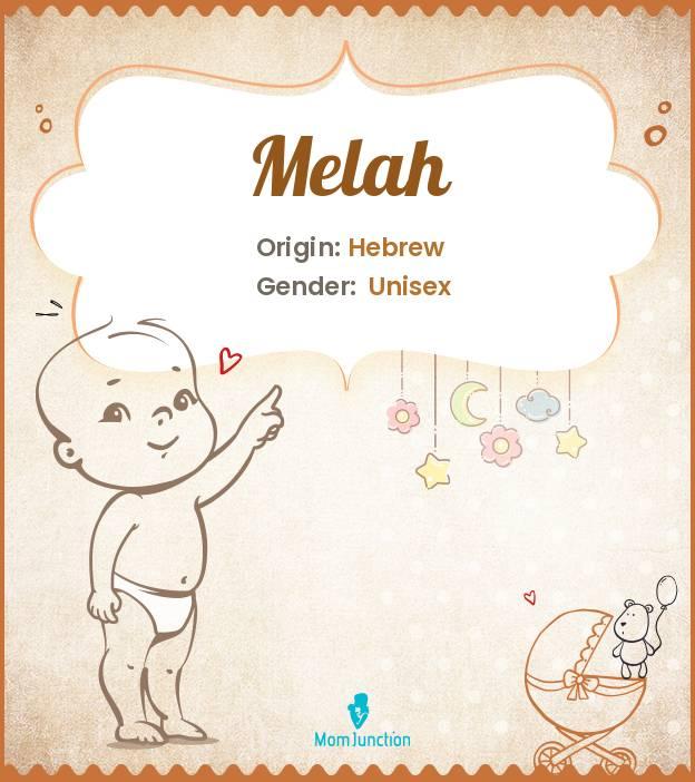 Explore Melah: Meaning, Origin & Popularity