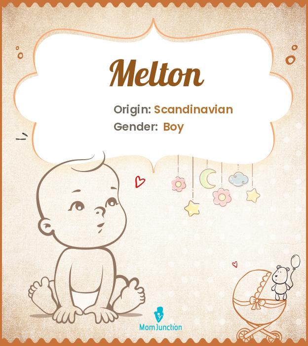 Explore Melton: Meaning, Origin & Popularity