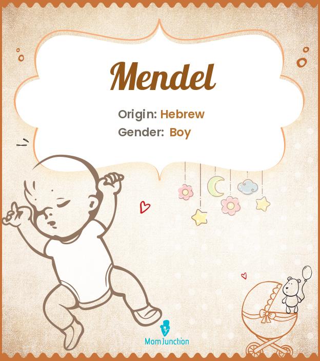 Explore Mendel: Meaning, Origin & Popularity