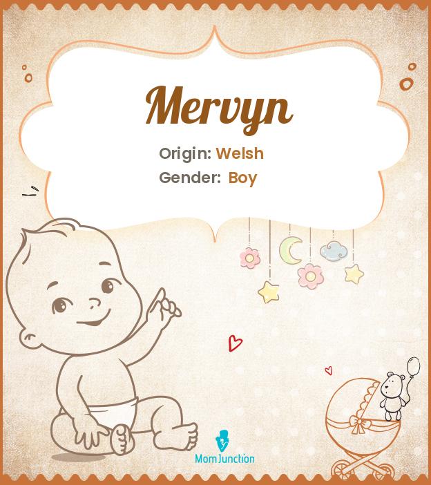 Explore Mervyn: Meaning, Origin & Popularity