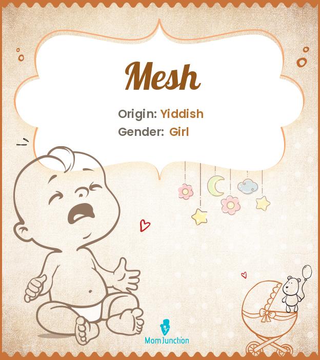 Explore Mesh: Meaning, Origin & Popularity