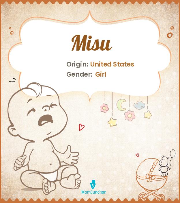 Explore Misu: Meaning, Origin & Popularity