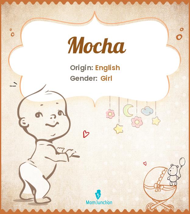 Mocha Name Meaning, Origin, History, And Popularity