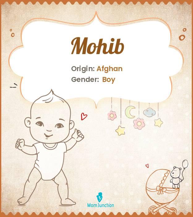 Explore Mohib: Meaning, Origin & Popularity