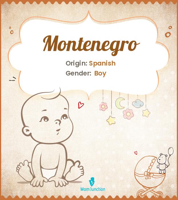 Explore Montenegro: Meaning, Origin & Popularity