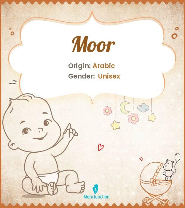 Explore Moor: Meaning, Origin & Popularity