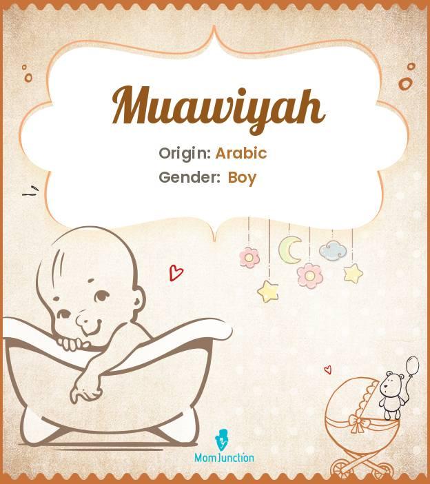 Explore Muawiyah: Meaning, Origin & Popularity