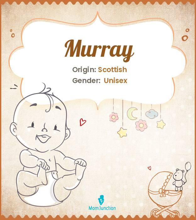 Explore Murray: Meaning, Origin & Popularity
