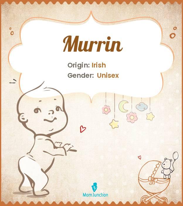 Explore Murrin: Meaning, Origin & Popularity