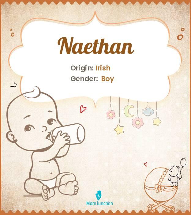 Explore Naethan: Meaning, Origin & Popularity