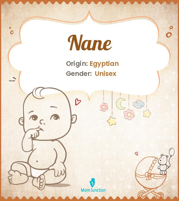 Explore Nane: Meaning, Origin & Popularity
