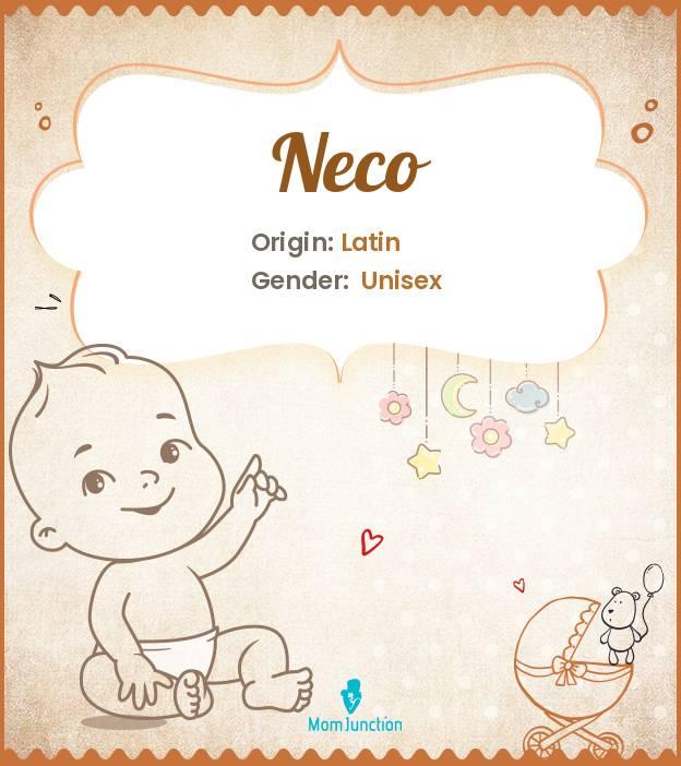 Explore Neco: Meaning, Origin & Popularity