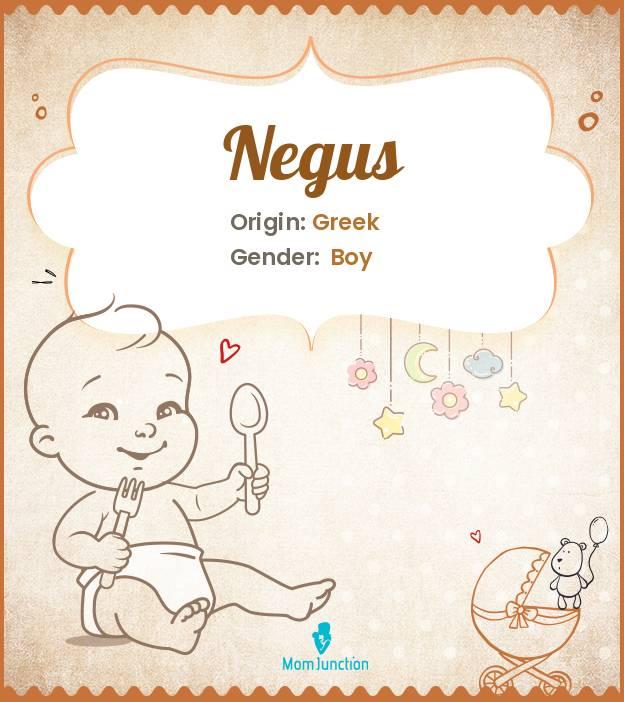 Explore Negus: Meaning, Origin & Popularity