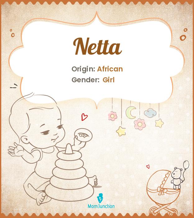 Explore Netta: Meaning, Origin & Popularity