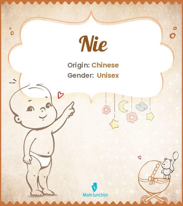Explore Nie: Meaning, Origin & Popularity