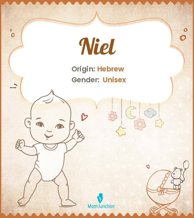 Niel Name Meaning, Origin, History, And Popularity