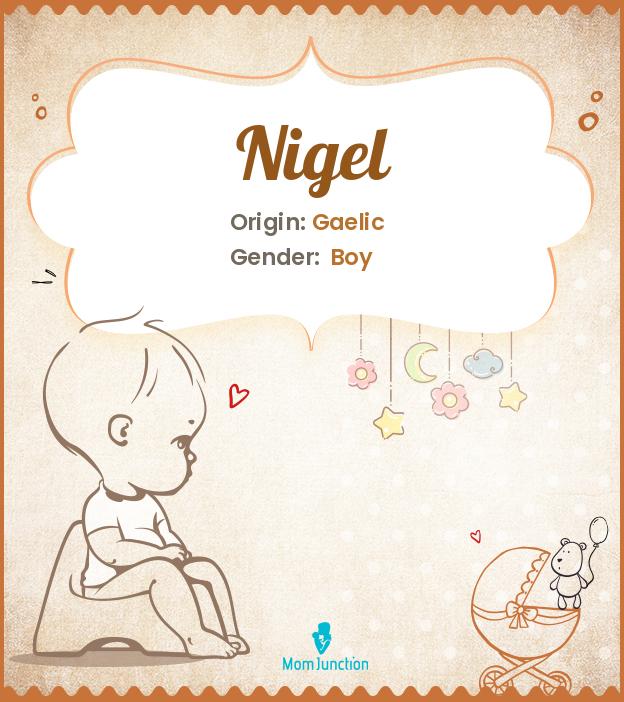 Nigel Name Meaning, Origin, History, And Popularity