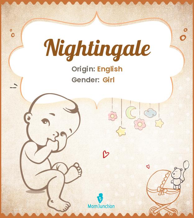 Explore Nightingale: Meaning, Origin & Popularity