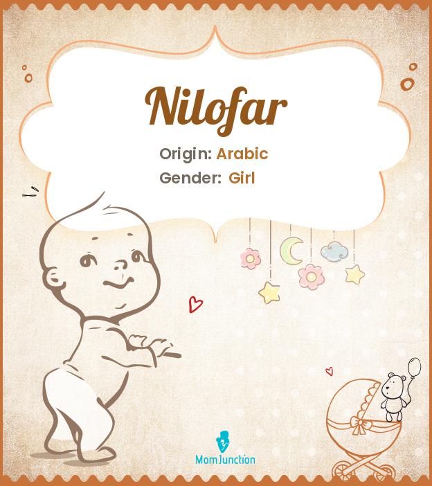 77 Pakistani Boy Names That Celebrate Culture And Faith