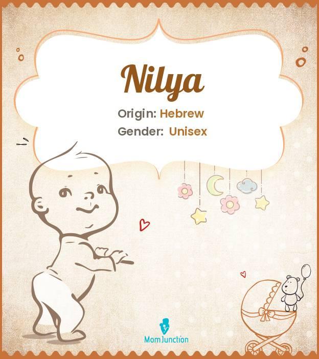 Explore Nilya Meaning Origin Popularity