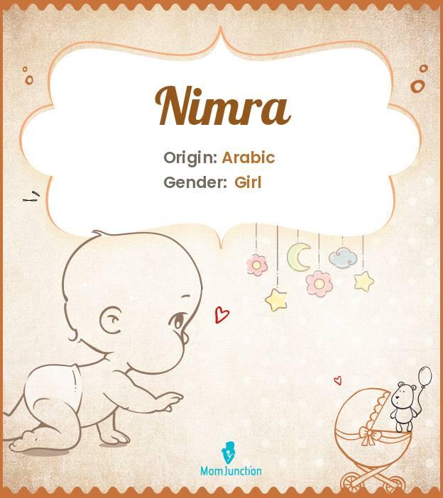 Explore Nimra: Meaning, Origin & Popularity