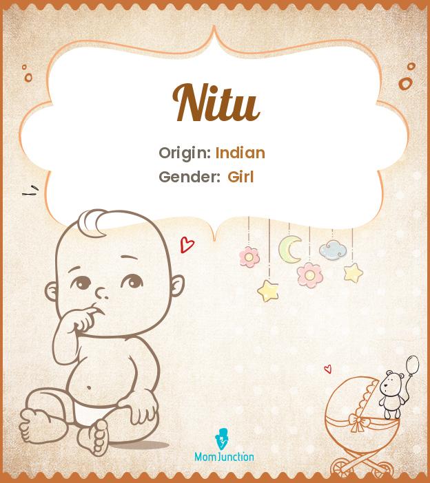 Explore Nitu: Meaning, Origin & Popularity