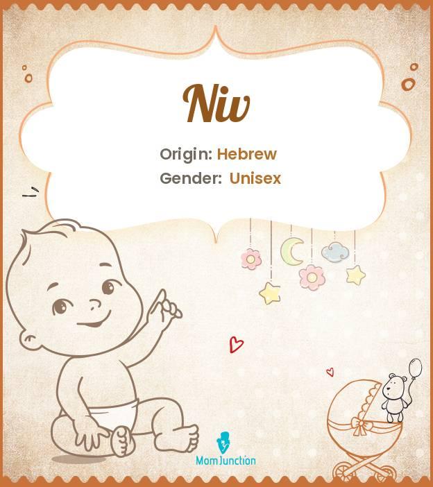 Explore Niv: Meaning, Origin & Popularity | MomJunction