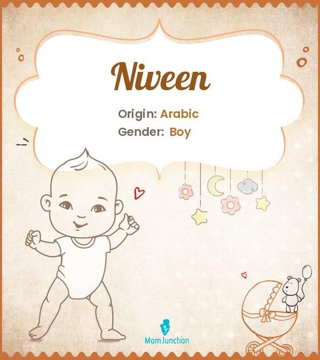 Explore Niveen: Meaning, Origin & Popularity