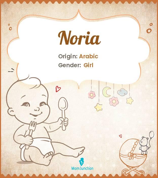Explore Noria: Meaning, Origin & Popularity