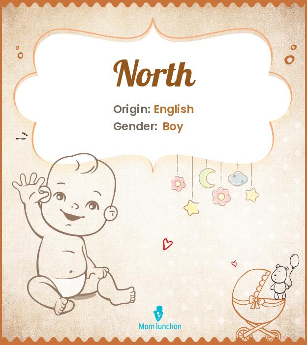 Explore North: Meaning, Origin & Popularity