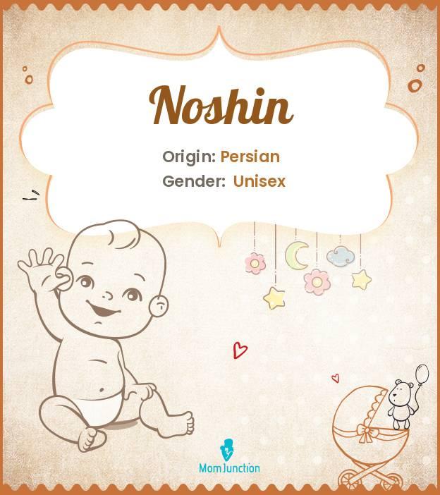 Explore Noshin: Meaning, Origin & Popularity