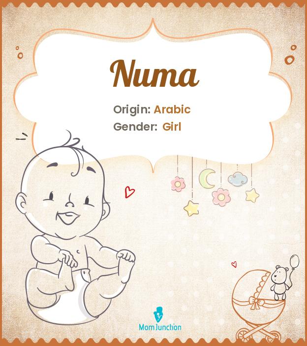Explore Numa: Meaning, Origin & Popularity