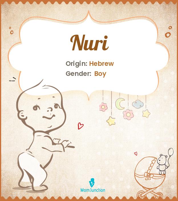 Nuri Name Meaning, Origin, History, And Popularity