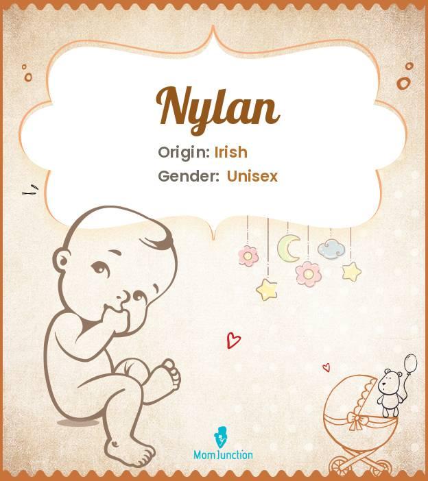 Explore Nylan: Meaning, Origin & Popularity
