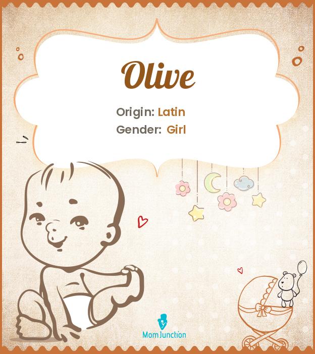Olive Name Meaning, Origin, History, And Popularity