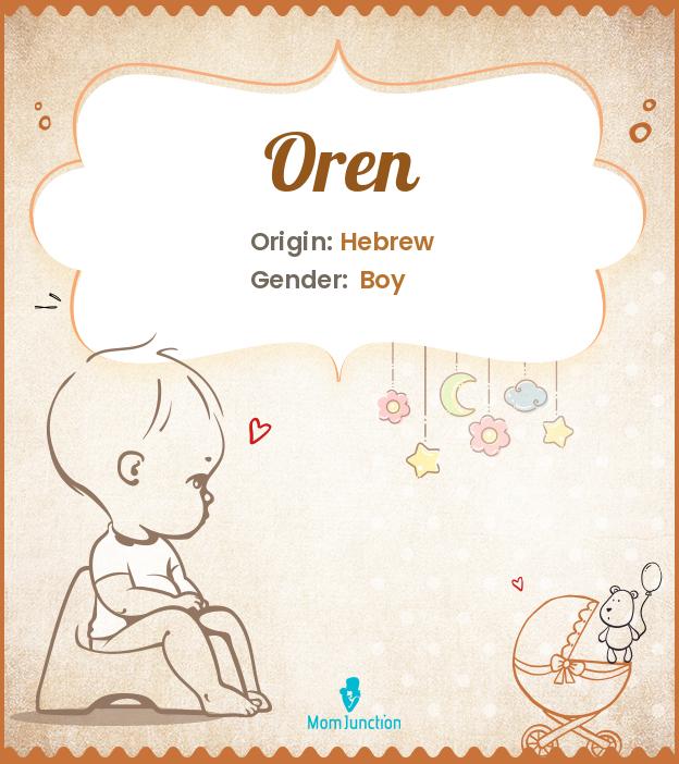 Oren Name Meaning, Origin, History, And Popularity