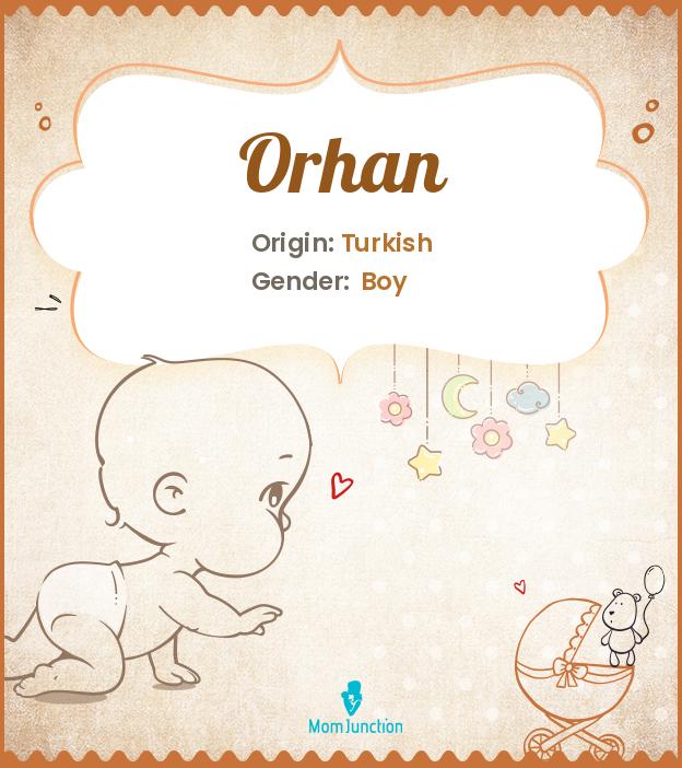 Explore Orhan: Meaning, Origin & Popularity